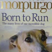 Born to Run - Magic Book